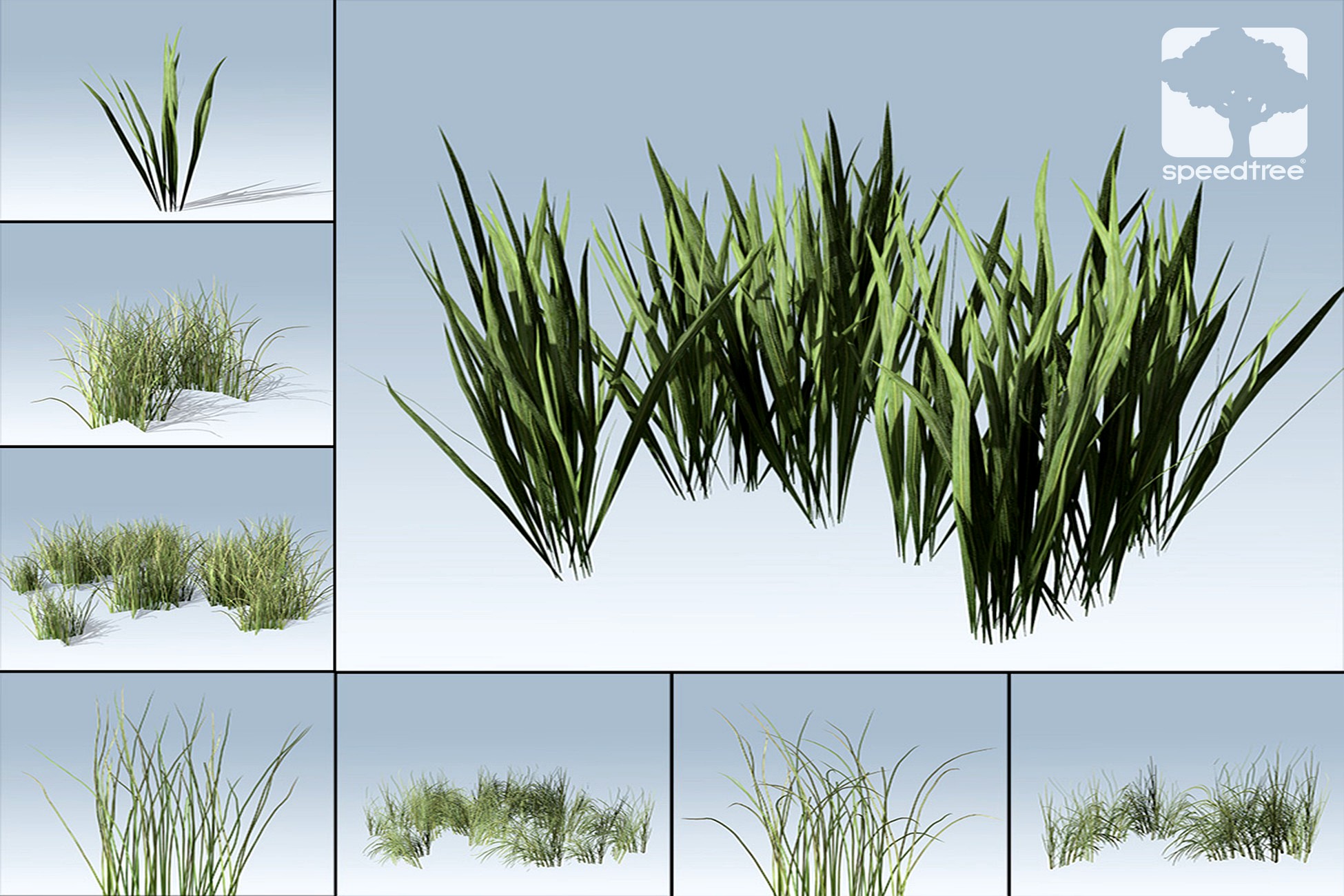 Rough Grass Package 3d model