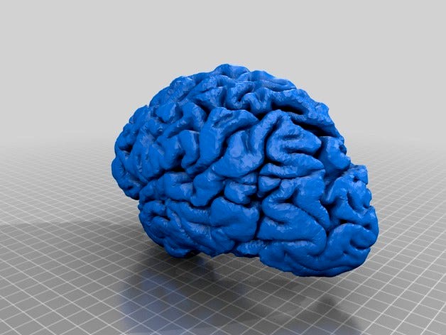 Brain Mri by medmega 3d model