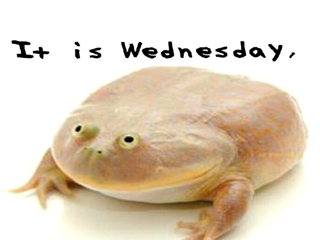 It is wednesday my dudes frog meme by joepotato420 3d model