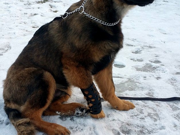 Dog Leg Cast / Brace by ReplikaPrinting 3d model