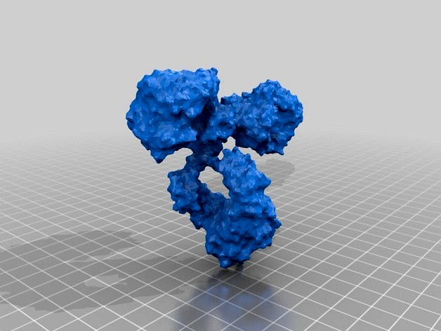 Immunoglobulin By Anthromod 3d Model