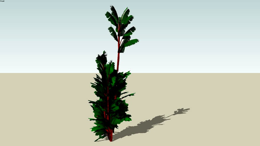 plant 2d 3d model