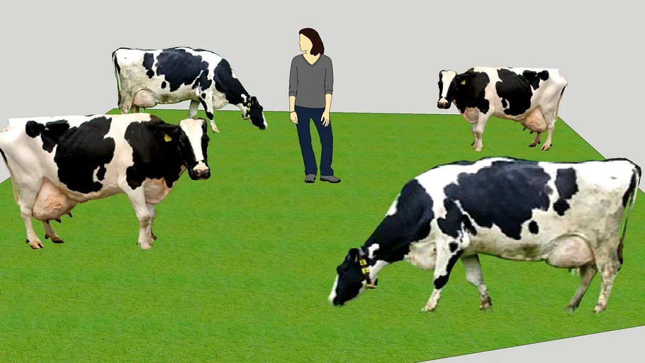 cow 2D foto 3d model