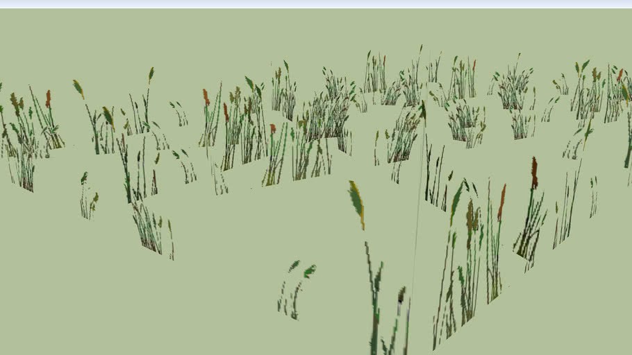 Grass 3d model