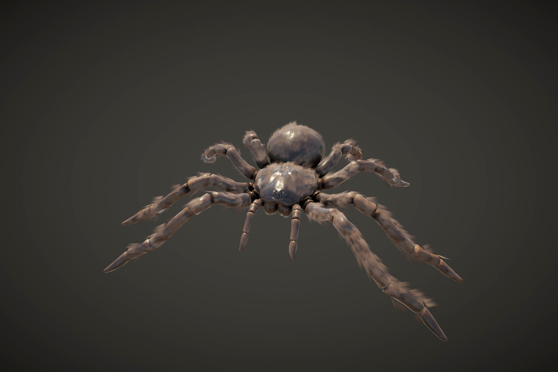 Stylized-Realistic Spider 3d model