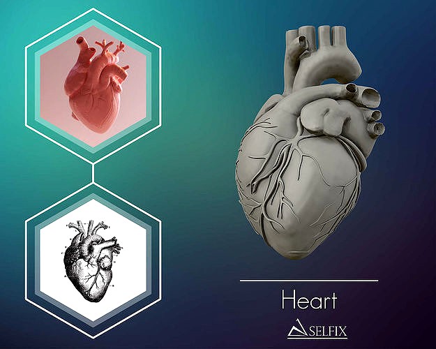 Heart sculpture Ready to Print | 3D model