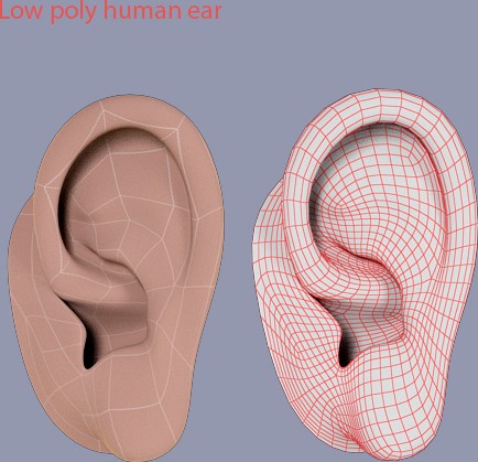 Low poly human ear 3d model