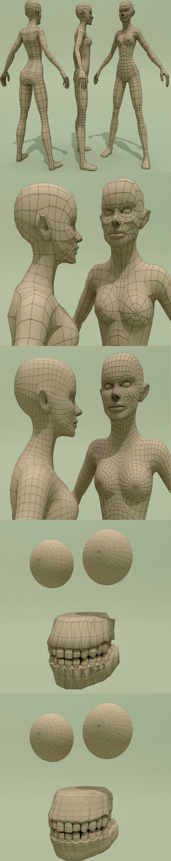 Low Poly Base Mesh Woman 3d model