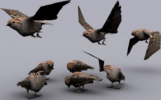 SPARROW with Native File 3d model