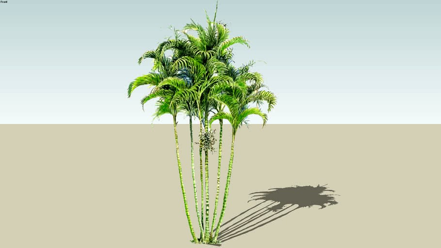 plant 2d 3d model