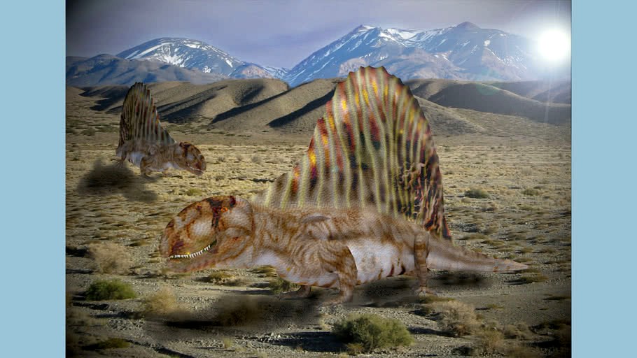 Dimetrodon milleri 3d model