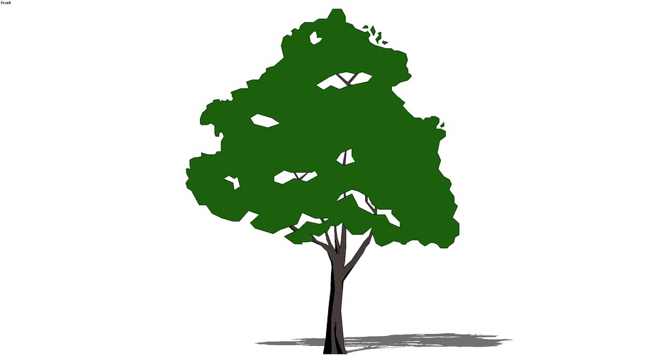 2D schematic oak tree 3d model