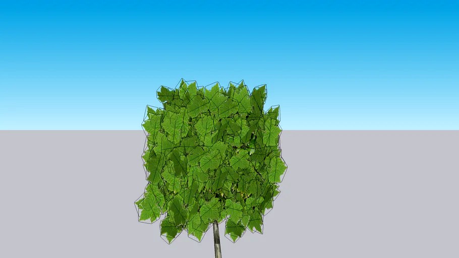 Plataan Bol Tree 3d model