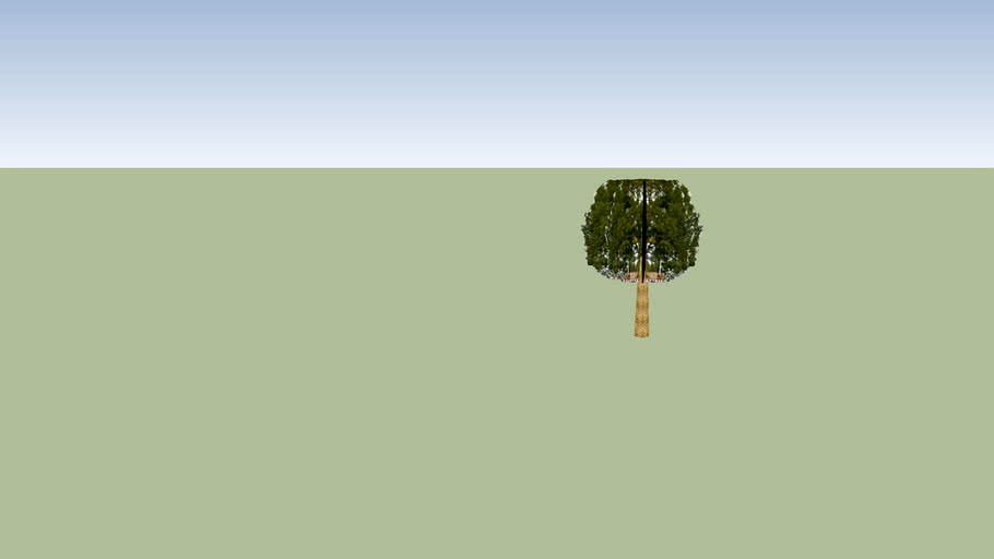 arbre 2D 3d model