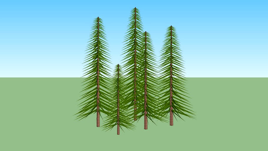 Simple pine trees 3d model
