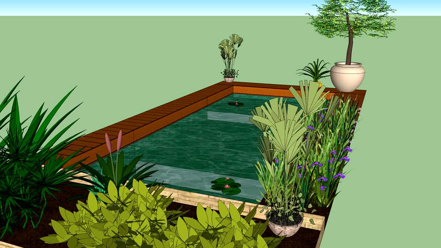 piscine naturelle 3d model