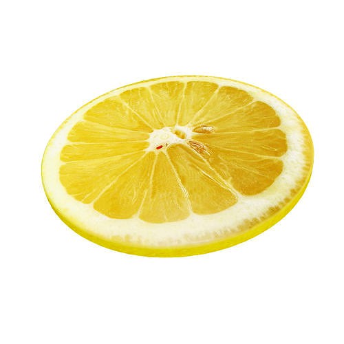 Lemon round slice 3d model