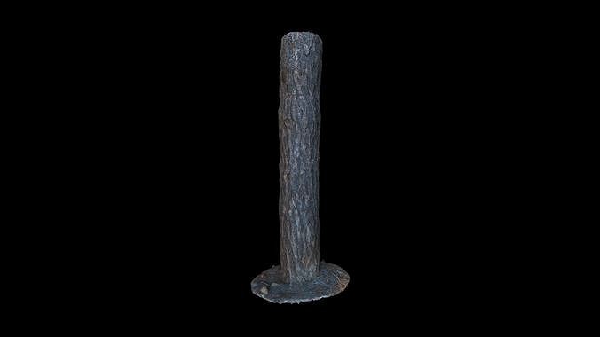 PBR Pine Tree 8K Game Ready 3D Model