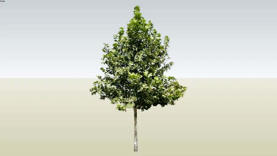景观树4 3d model