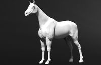 Horse free 3d models