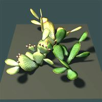 Free fbx 3d models