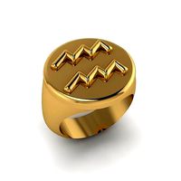 Aquarius Zodiac Sign Ring | 3D model